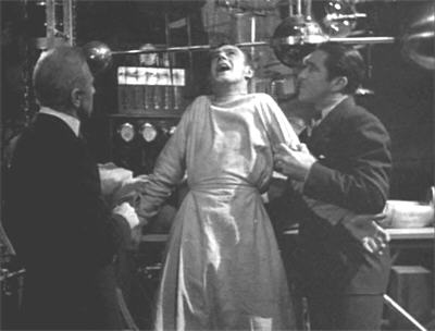 Frankenstein (1931) | and you call yourself a scientist!?