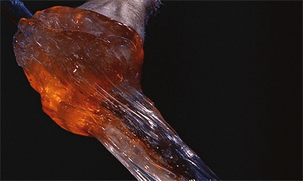 The Blob (1958) | and you call yourself a scientist!?
