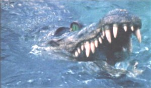 Crocodile (1981) | and you call yourself a scientist!?