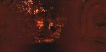 Silent Predators (1999) | and you call yourself a scientist!?